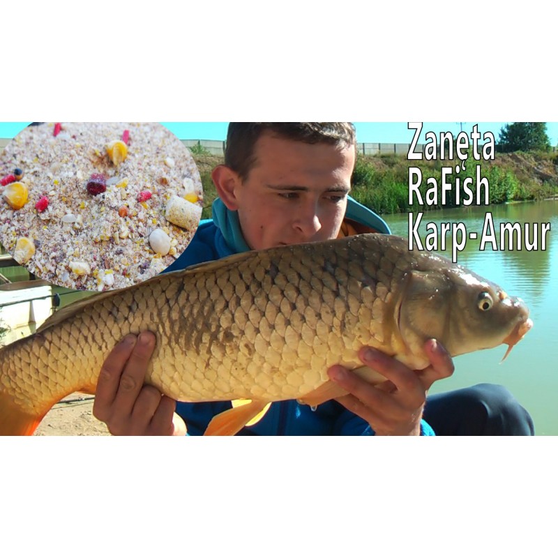 Karp/Amur 1Kg Zanęta Wędkarska RaFish