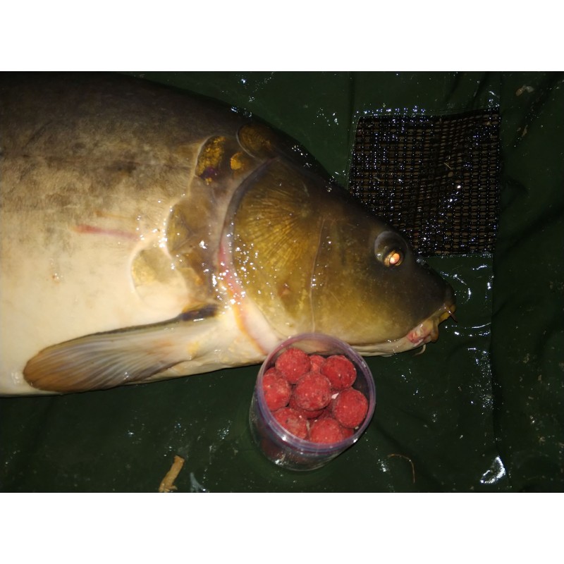 Truskawka 16-20 mm 1kg Kulki Proteinowe Zanętowe RaFish