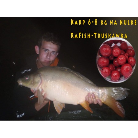 Truskawka 16-20 mm 1kg Kulki Proteinowe Zanętowe RaFish