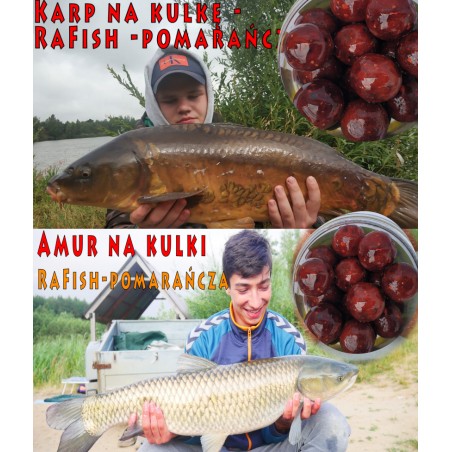 POMARAŃCZA 1kg Kulki proteinowe RaFish 16-20mm - zanętowe