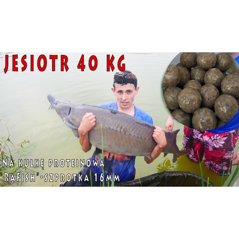 Szprotka 16-20 mm 200ml Kulki Proteinowe Haczykowe RaFish